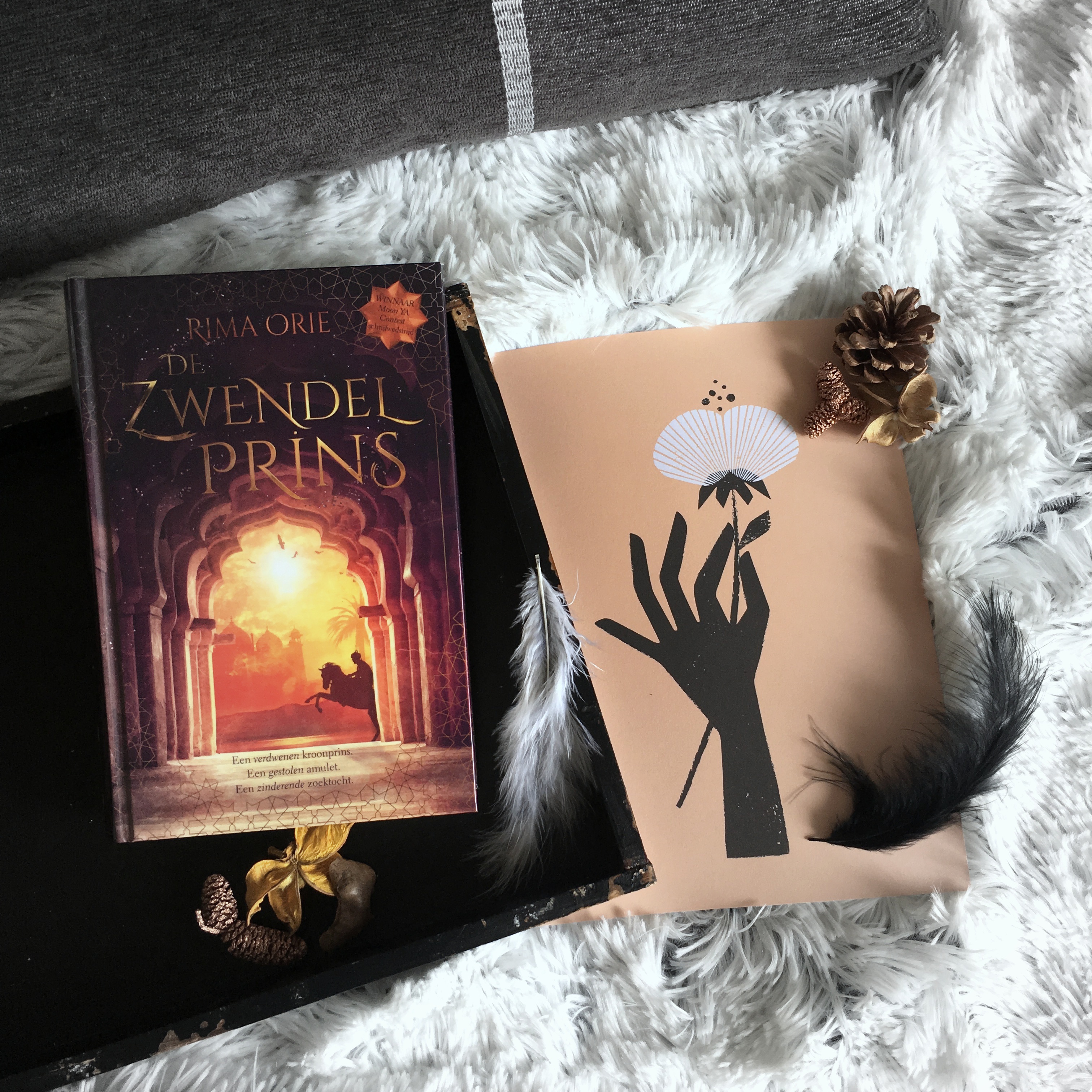 De Zwendelprins – Rima Orie – My Winged Books – Reviews van YA, Fantasy ...