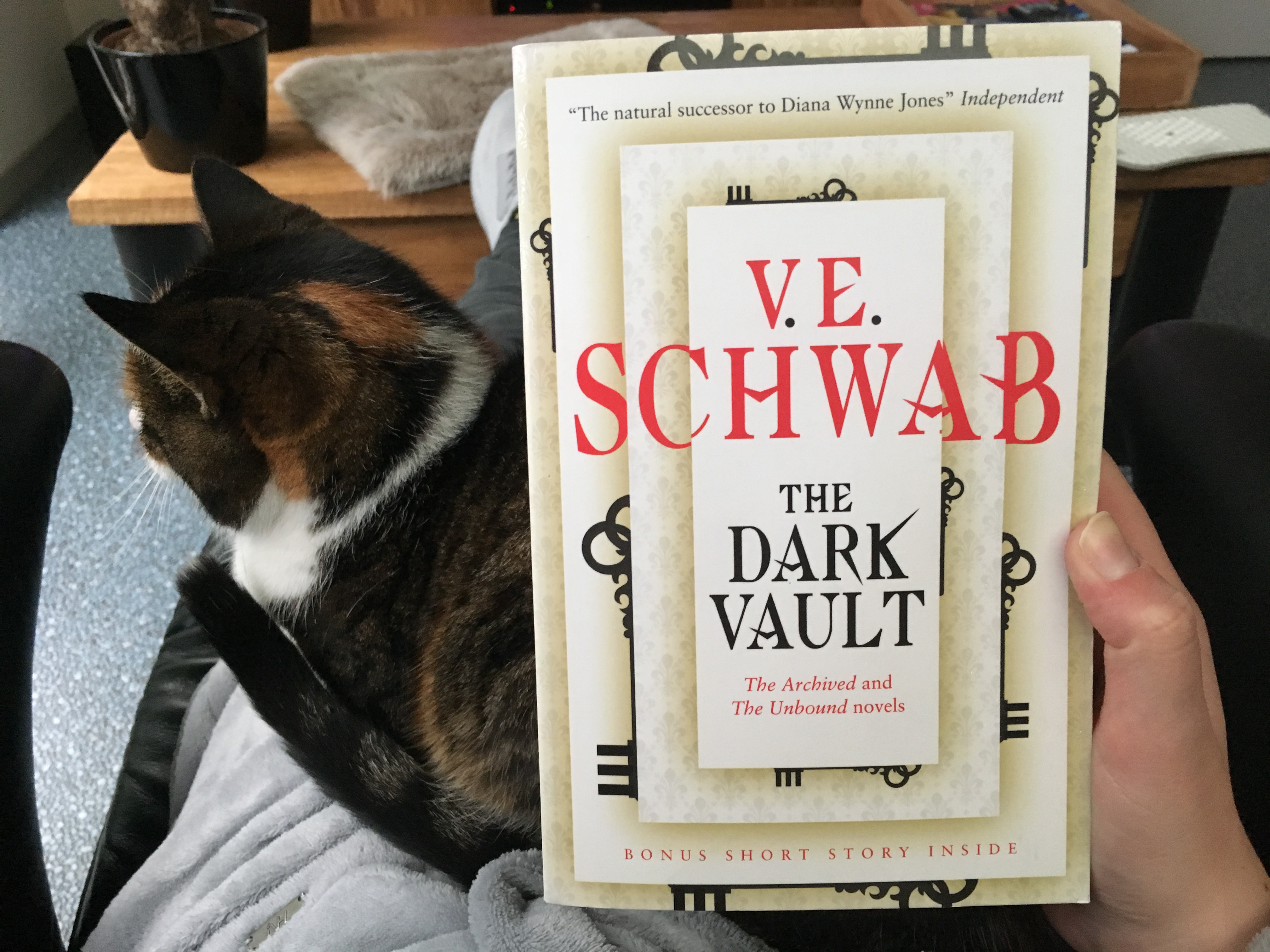 The Dark Vault – V.E. Schwab – My Winged Books – Reviews van YA, Fantasy, Romance en andere boeken