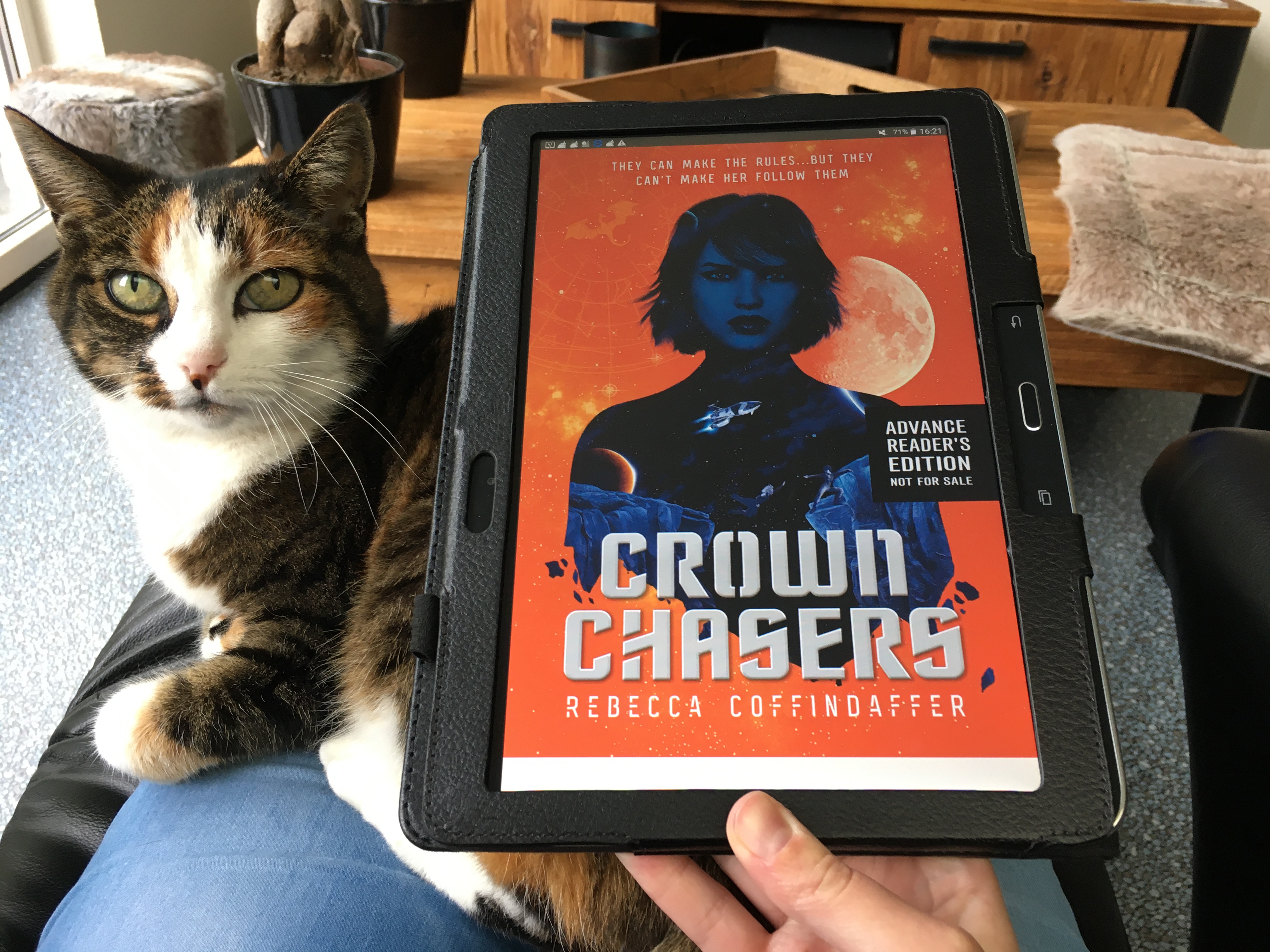 Crownchasers – Rebecca Coffindaffer (ENG + NL) – My Winged Books ...