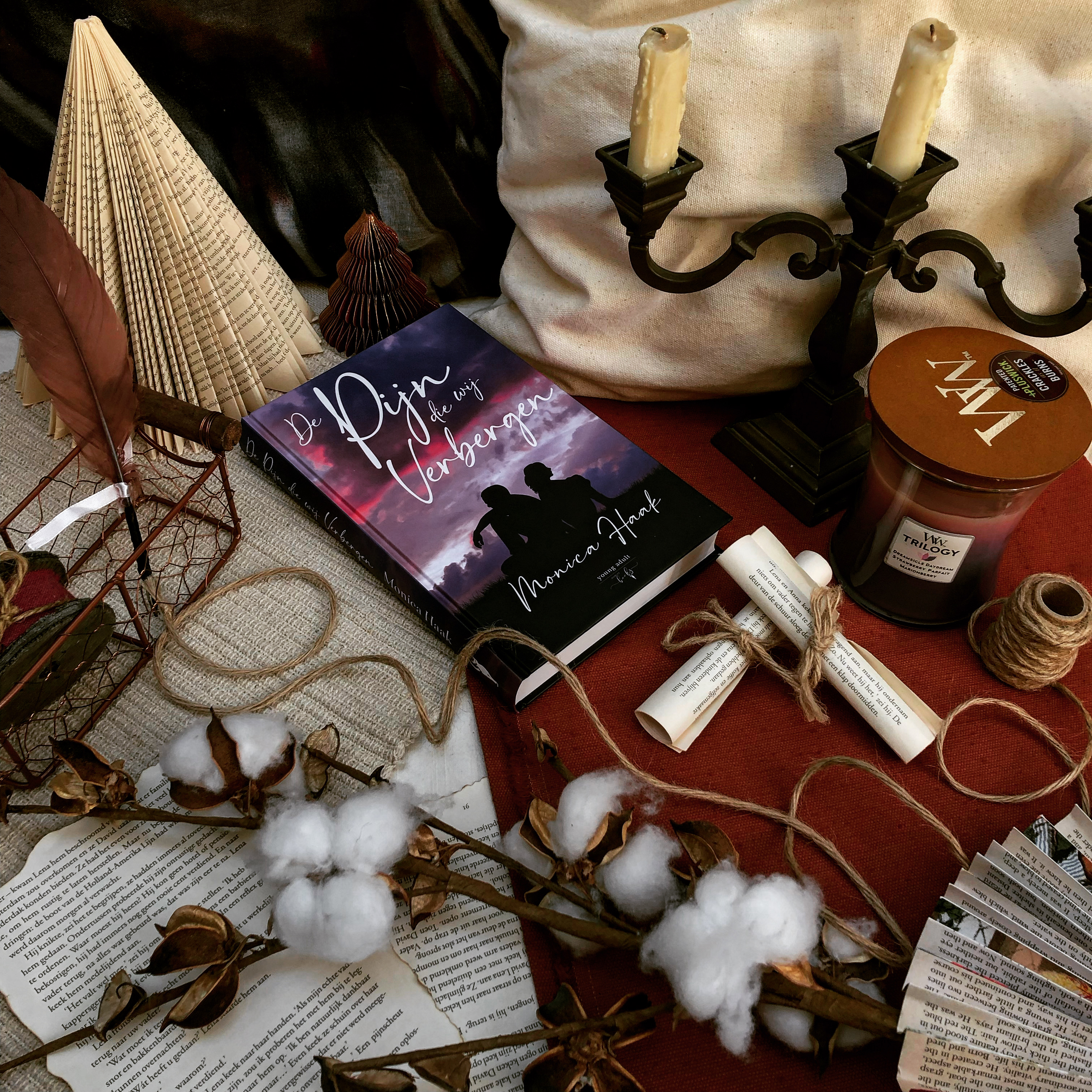 De pijn die wij verbergen – Monica Haak (blogtour) – My Winged Books ...