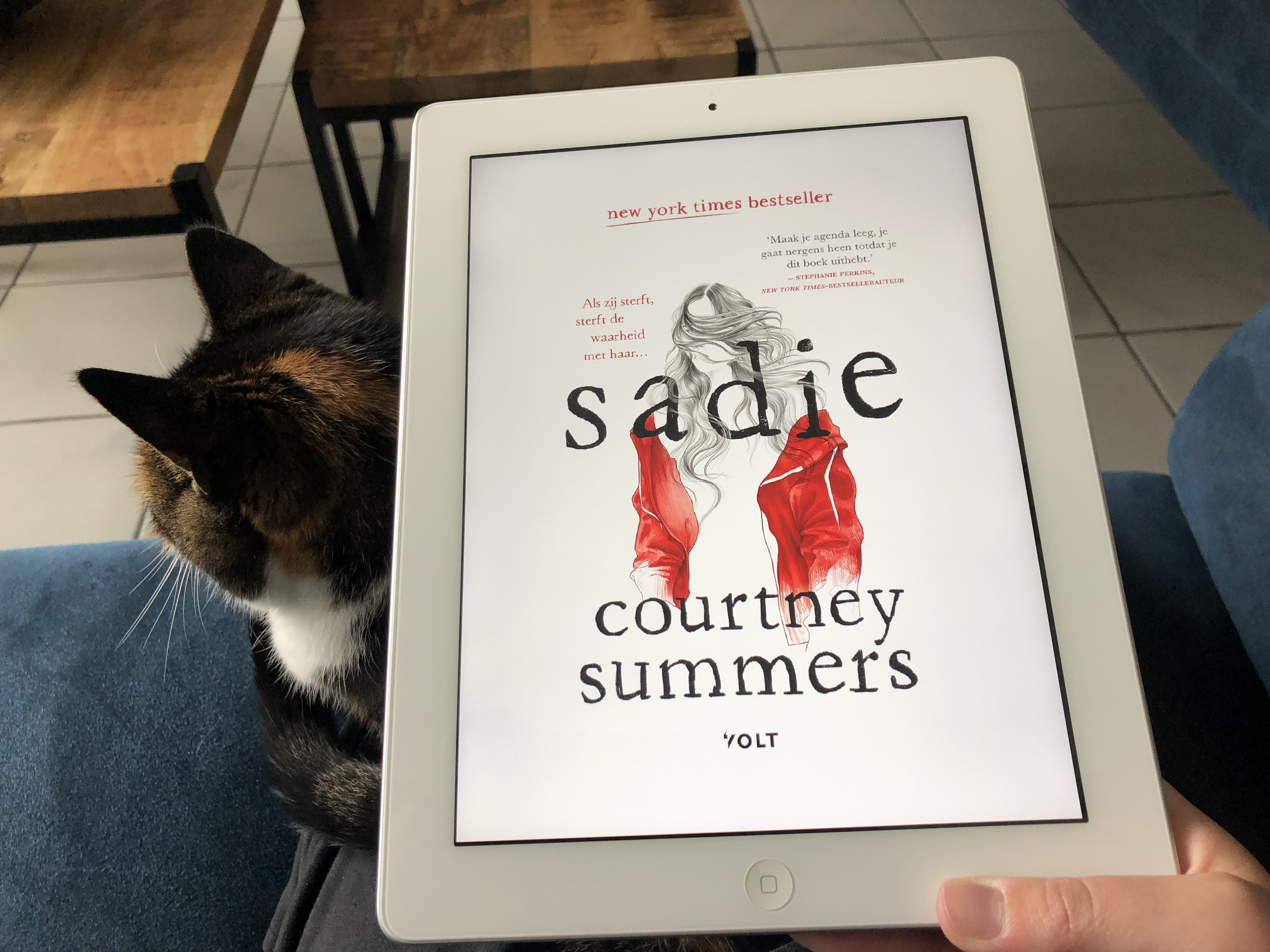 Sadie Courtney Summers My Winged Books Reviews Van Ya Fantasy