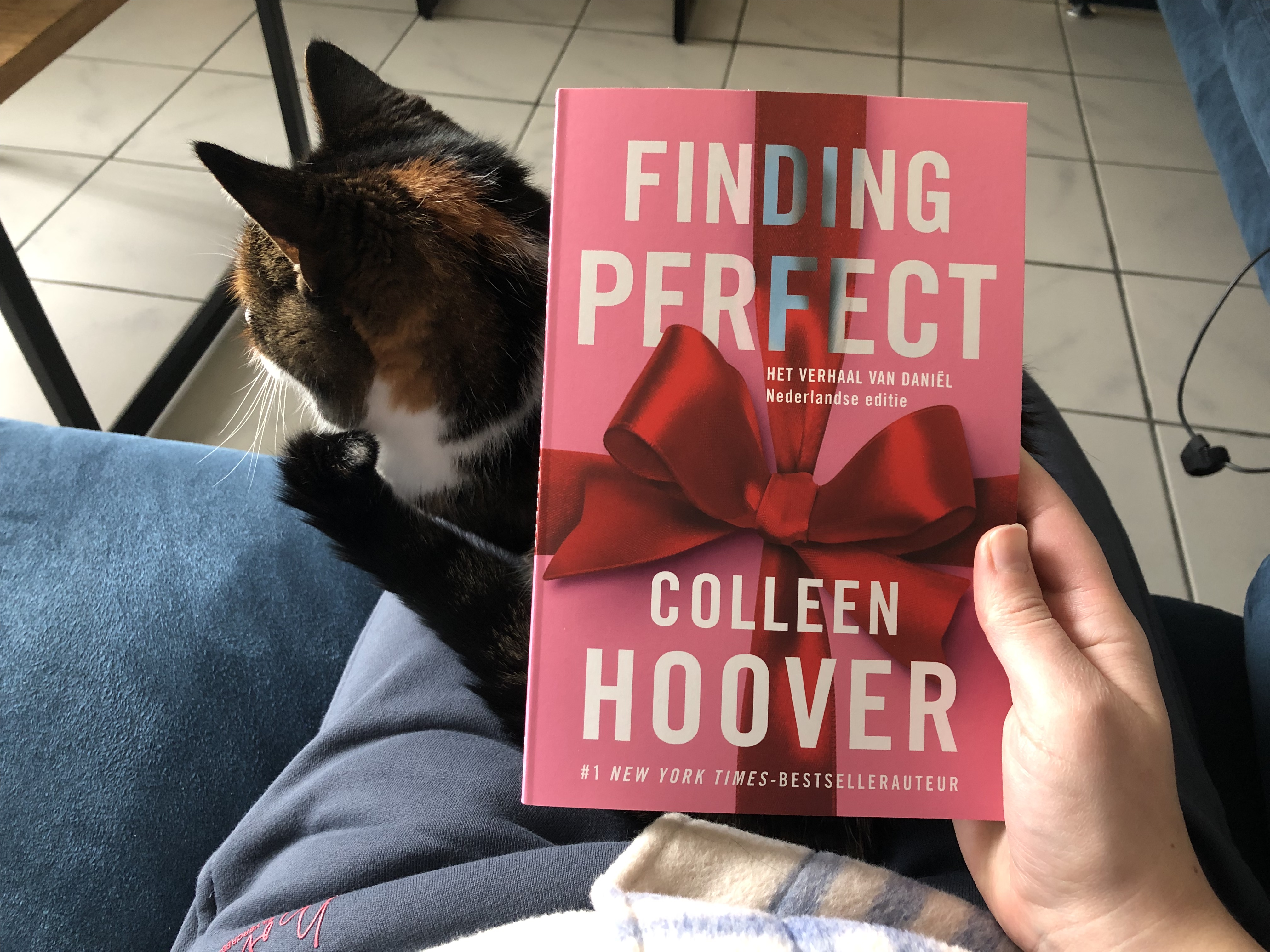 Finding Perfect – Colleen Hoover – My Winged Books – Reviews van YA ...