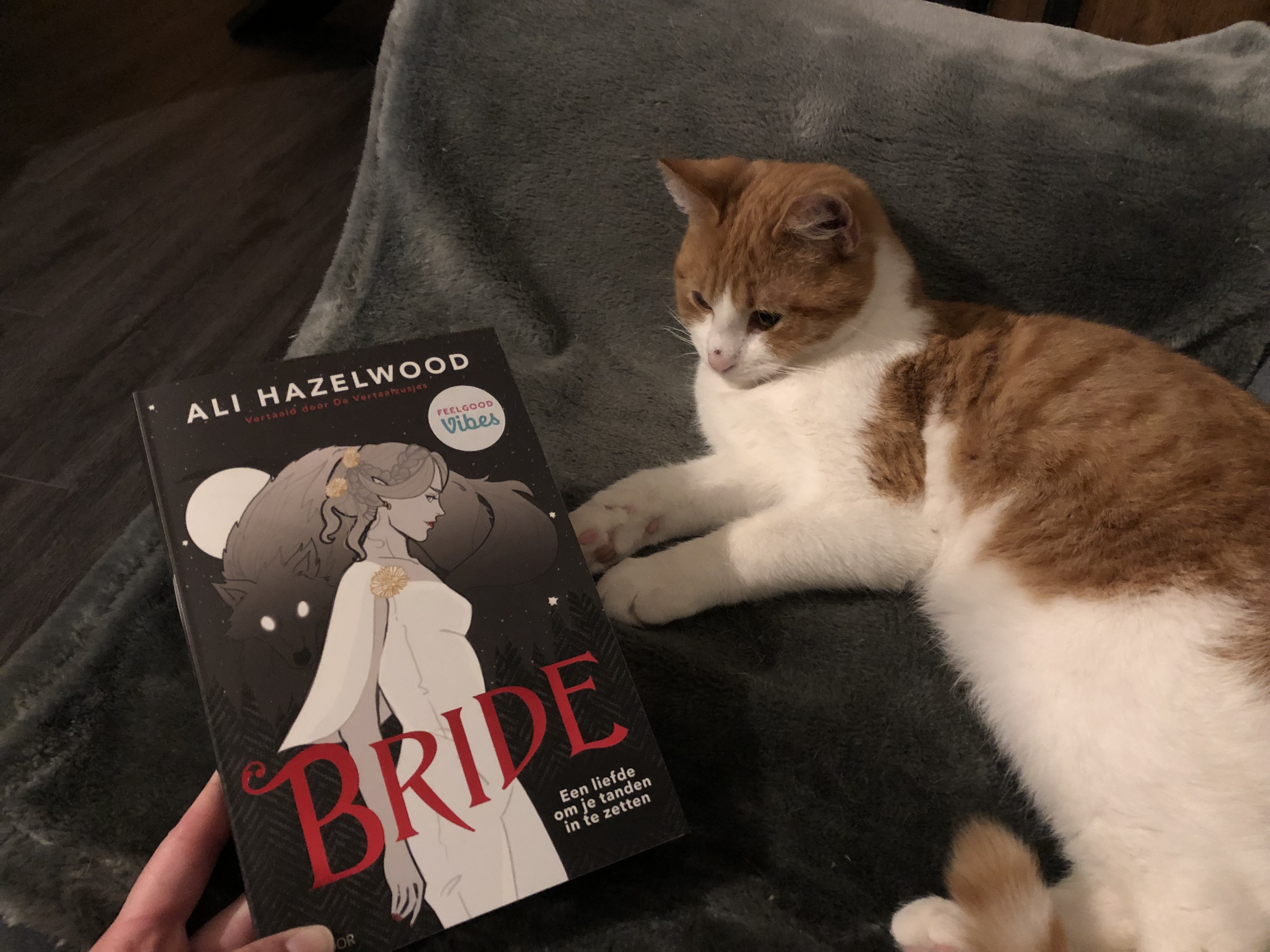 Bride – Ali Hazelwood – My Winged Books – Reviews van YA, Fantasy ...