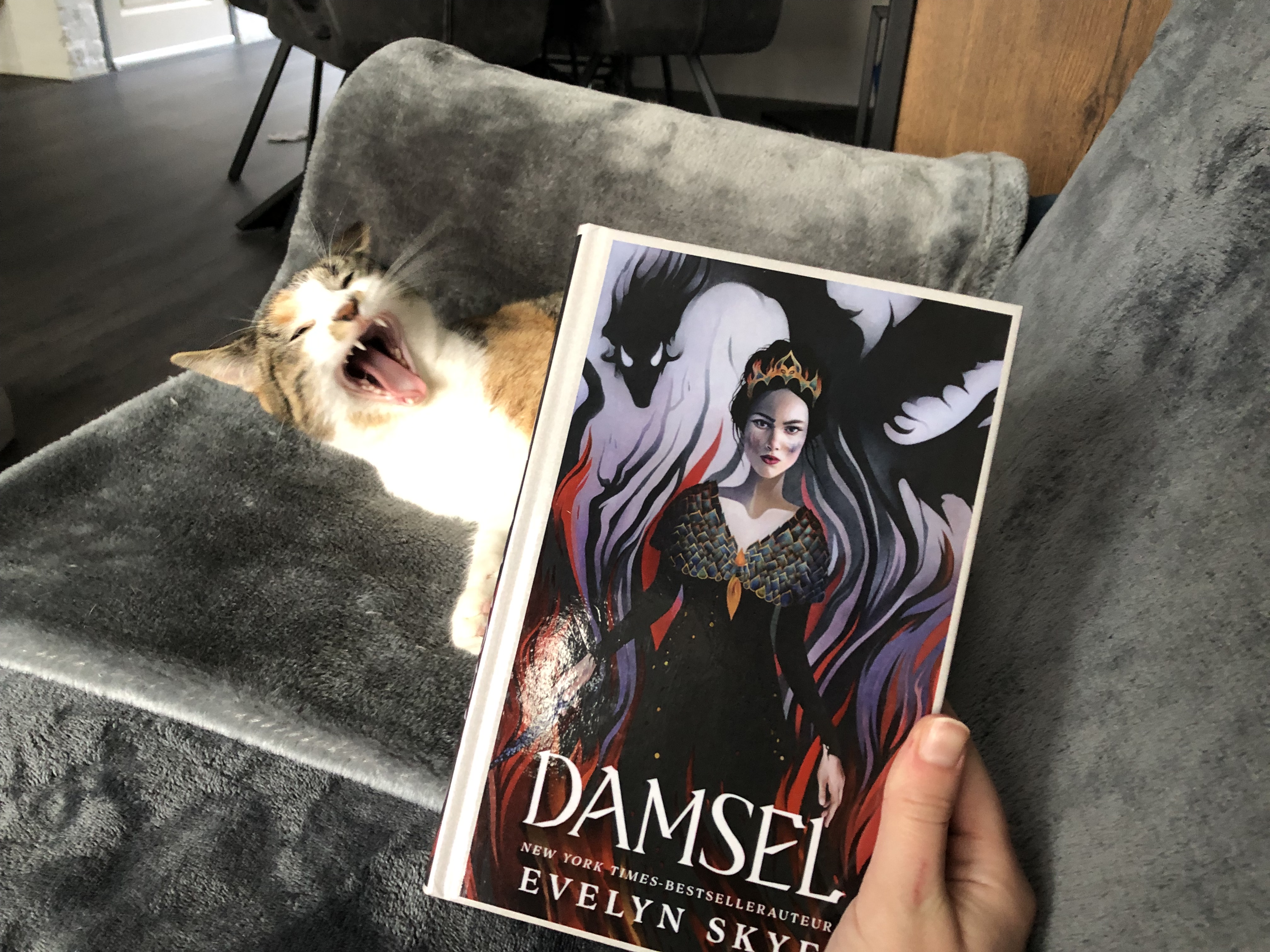 Damsel – Evelyn Skye – My Winged Books – Reviews van YA, Fantasy ...