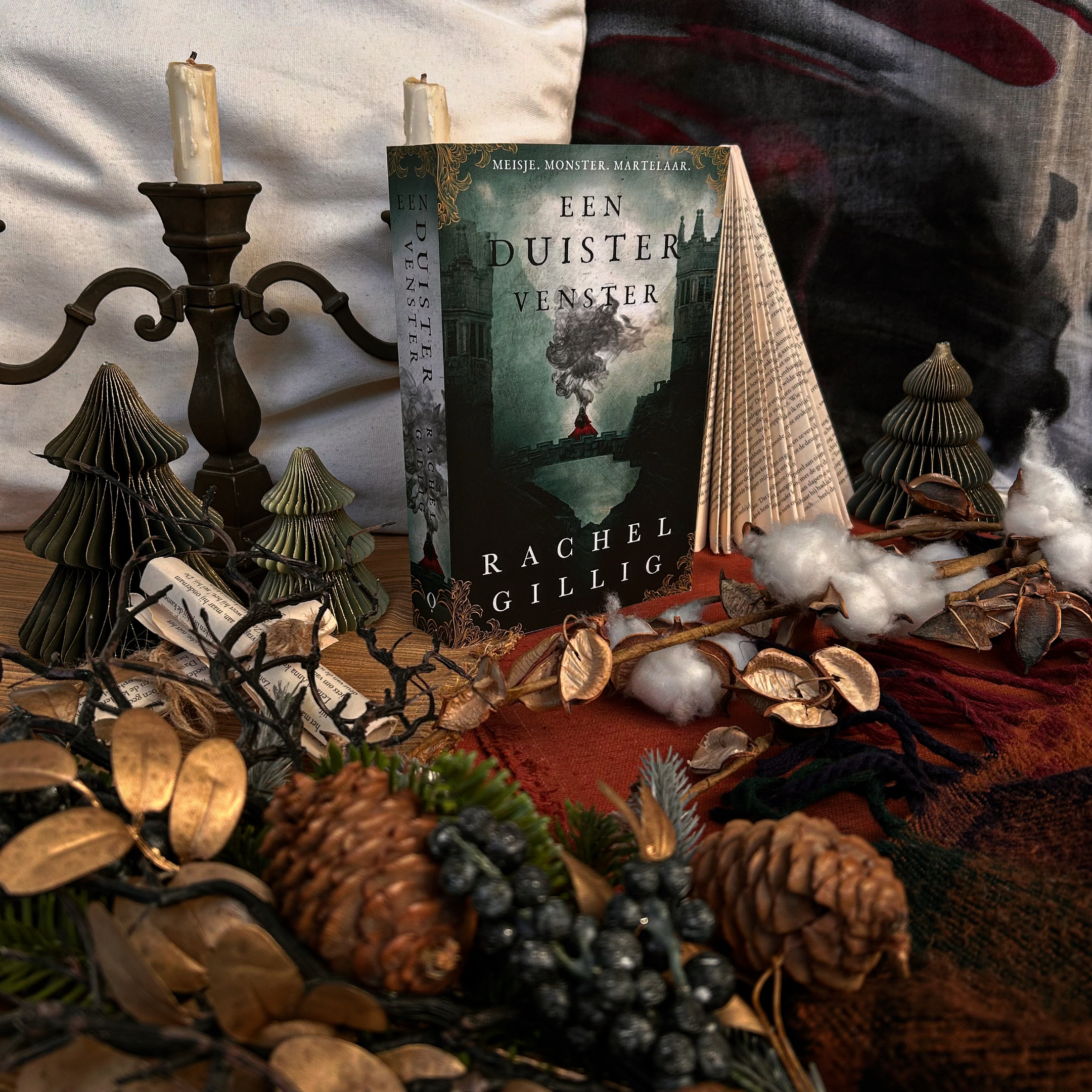 Een duister venster – Rachel Gillig – My Winged Books – Reviews van YA ...