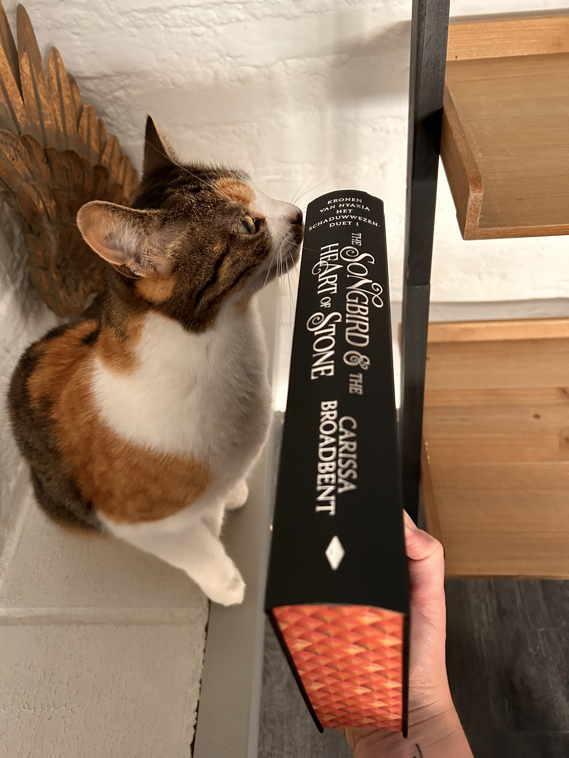 The Songbird and the Heart of Stone – Carissa Broadbent – My Winged ...